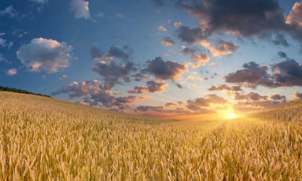 Scripture on Provision | Before The Cross