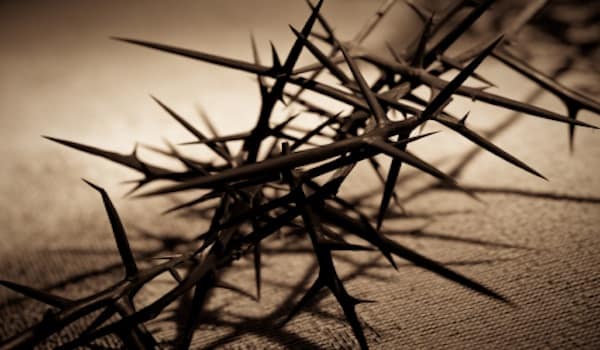I Am Not Ashamed! | Before The Cross