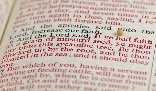 Scripture on Faith | Before The Cross